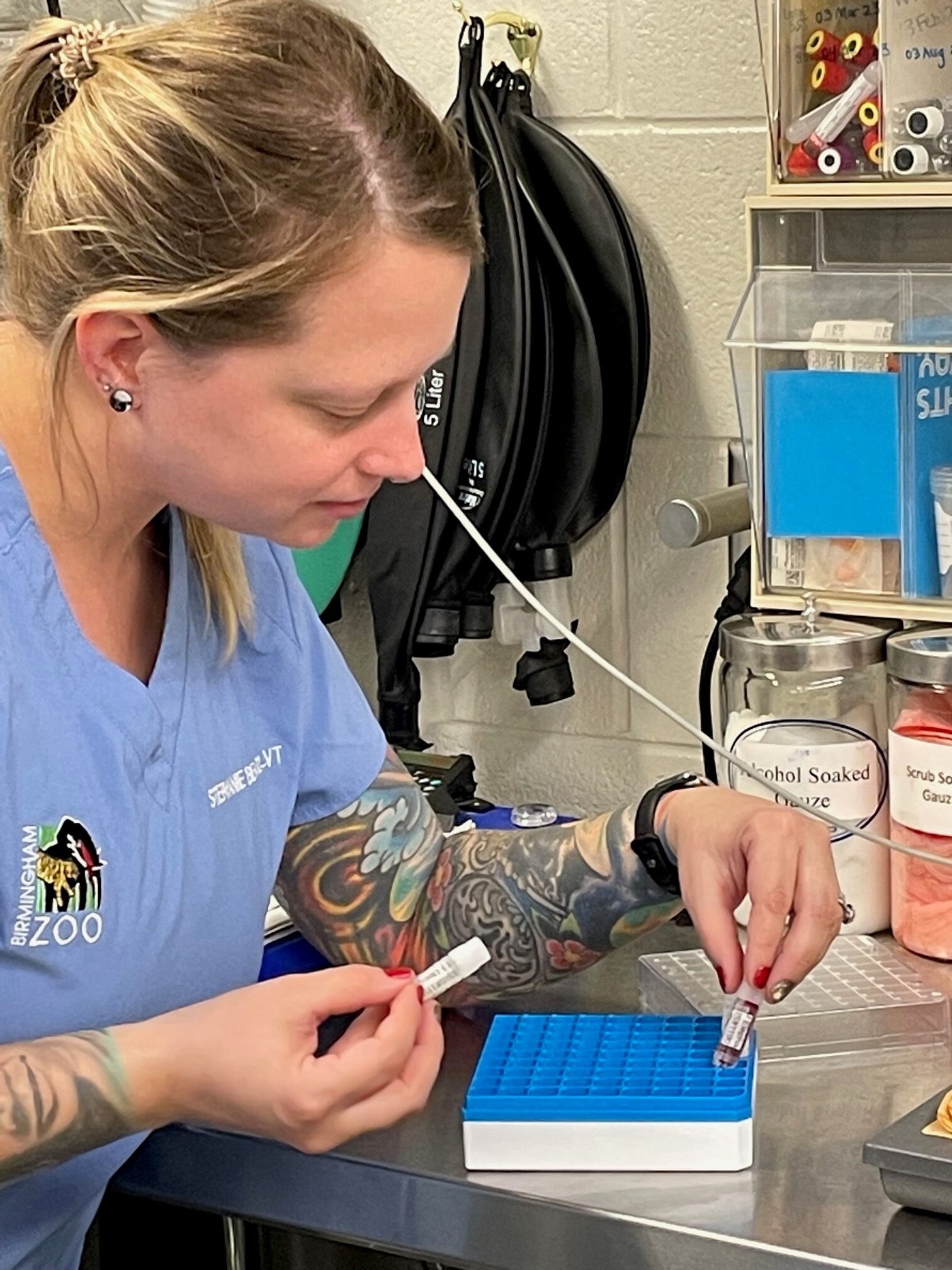 Ultra Low Freezer for Birmingham Zoo - CAWACO RC&D